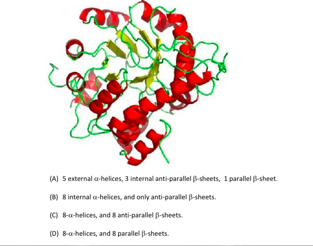 Solved 1 parallel β-sheet. (A) (B) (C) (D) 5 external | Chegg.com
