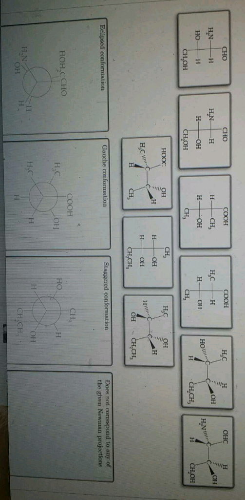 Solved sort the perspective formula and the fischer | Chegg.com