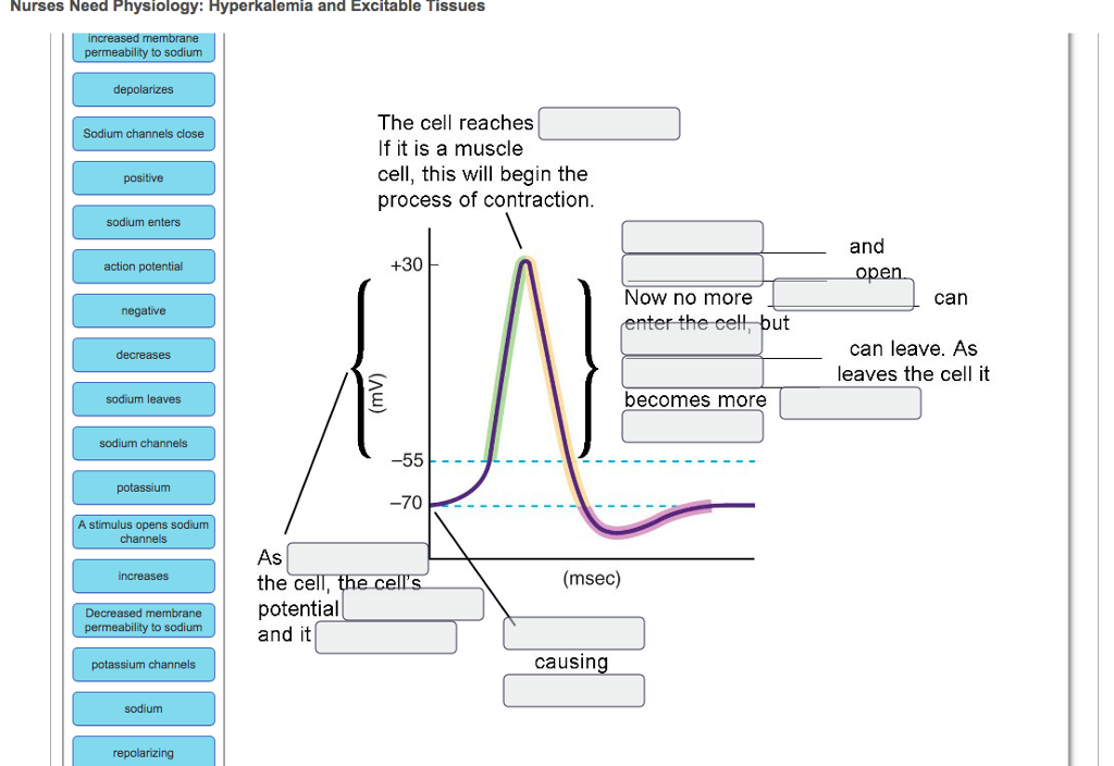 Solved e nurse taking Mr. M's vitals asks him about his | Chegg.com