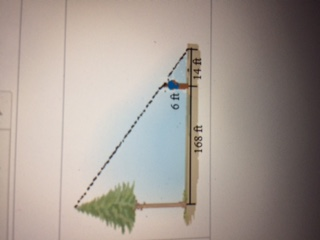 Solved Use similar triangles to solve. A person who is 66 | Chegg.com
