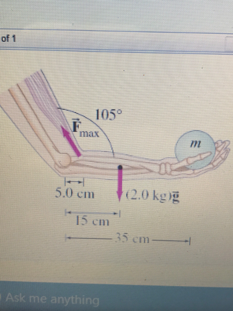 Solved The maximum mass m that a person can hold in a hand | Chegg.com