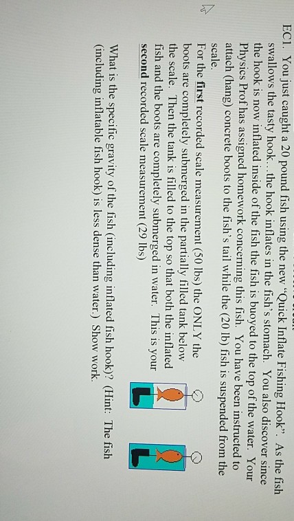 Solved EC1. You just caught a 20 pound fish using the new | Chegg.com