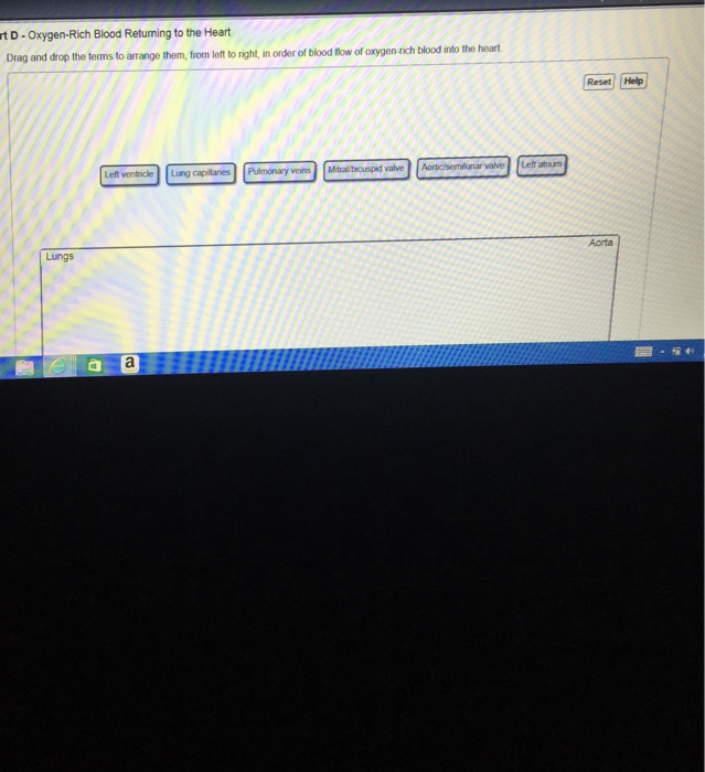 Solved Draw and drop the terms to arrange them, from left to | Chegg.com