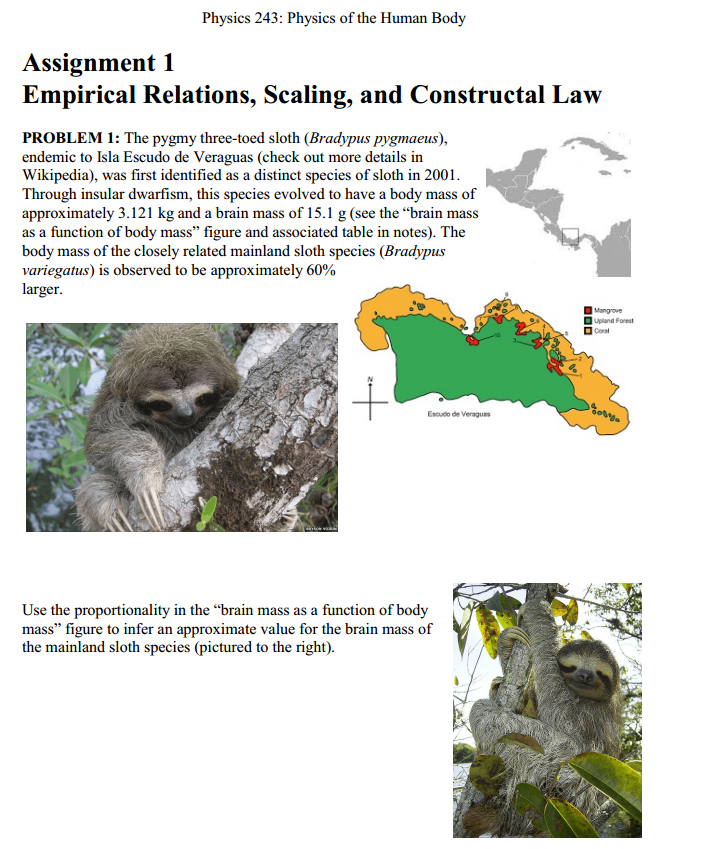 Solved The pygmy three-toed sloth (Bradypus pygmaeus), | Chegg.com