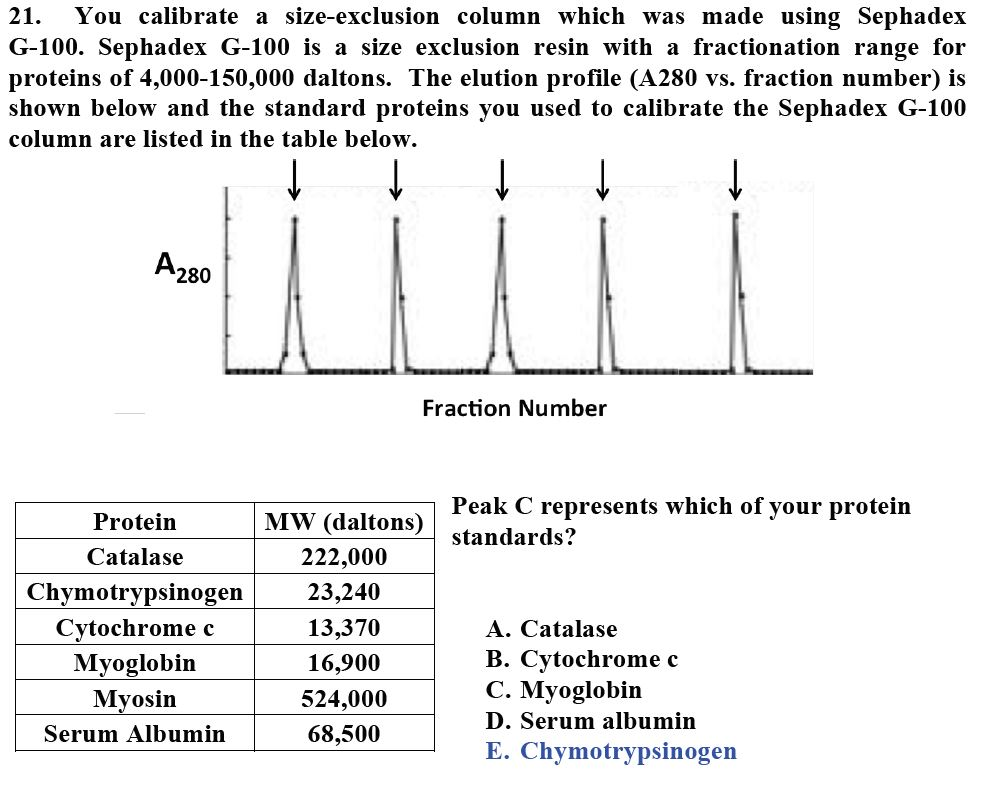 Solved 21. You calibrate a size-exclusion column which was | Chegg.com
