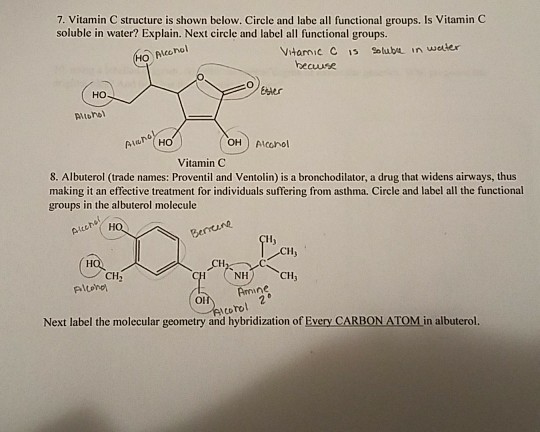 Solved Vitamin C structure is shown below. Circle and label | Chegg.com