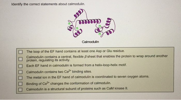 Solved Identify the correct statements about calmodulin. | Chegg.com
