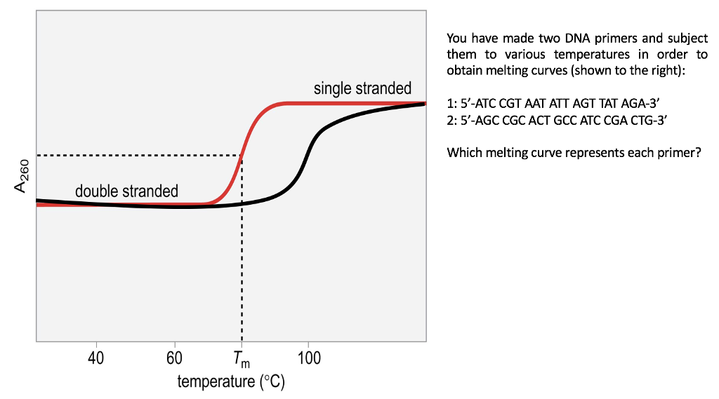 Solved You have made two DNA primers and subject them to | Chegg.com