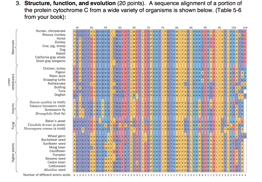 Solved 3. Structure, function, and evolution (20 points). A | Chegg.com