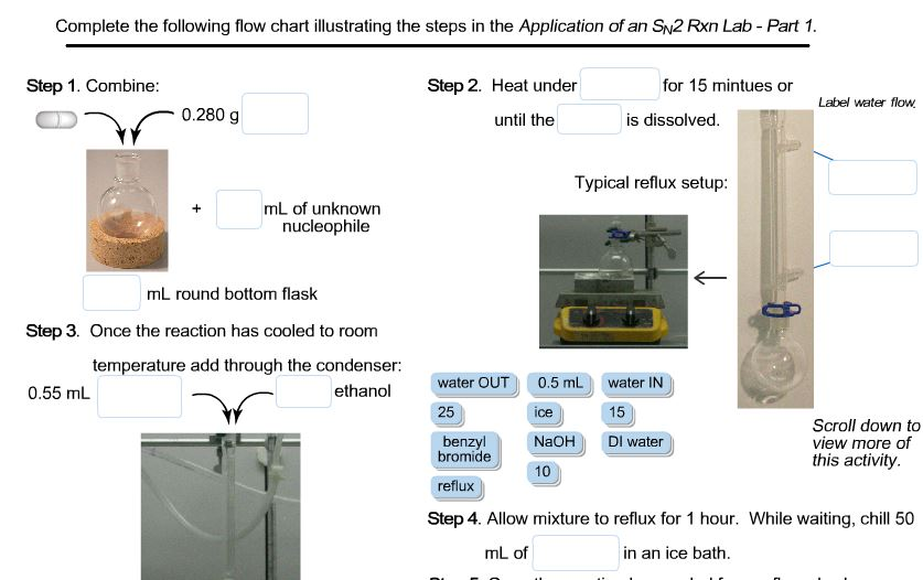 Solved Complete the following flow chart illustrating the | Chegg.com