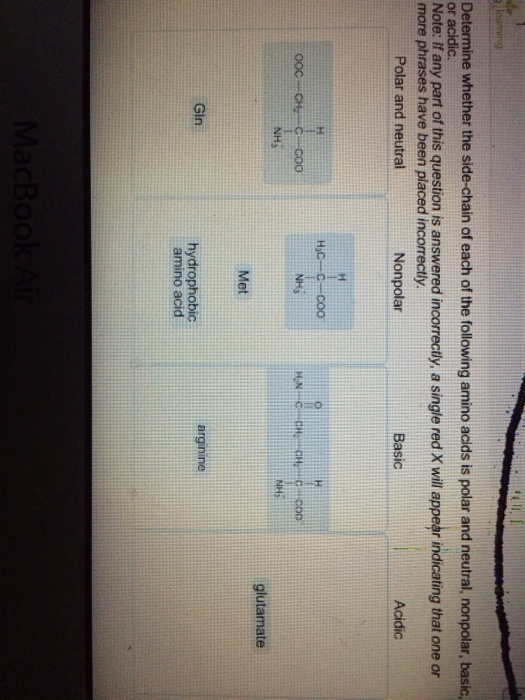 Solved Determine whether the side-chain of each of the | Chegg.com