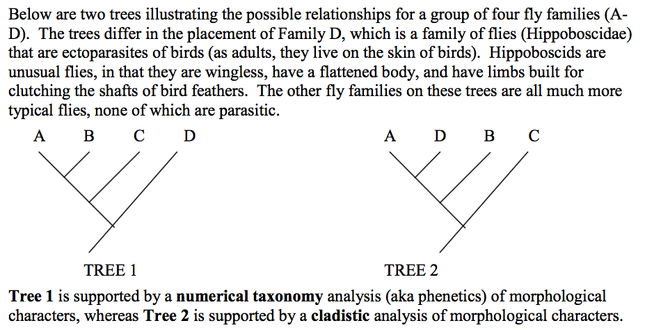 Solved Below are two trees illustrating the possible | Chegg.com