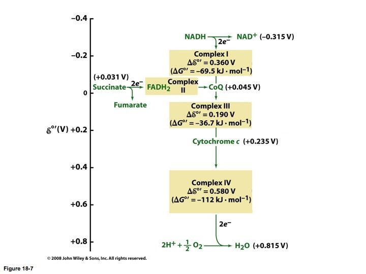 The diagram below depicts the path of electrons in | Chegg.com