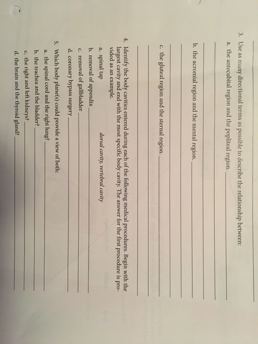 Solved Use As Many Directional Terms As Possible To Describe Chegg
