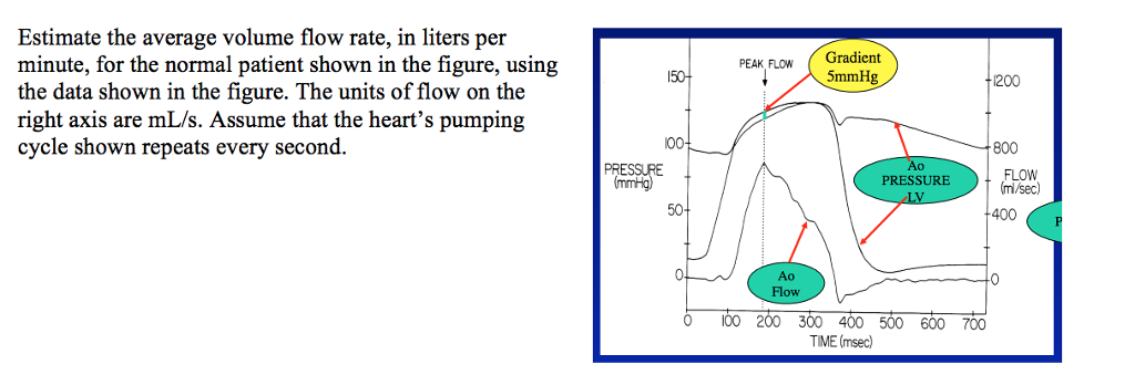Solved Estimate the average volume flow rate, in liters per | Chegg.com
