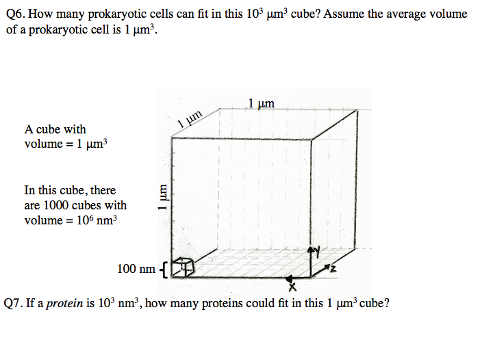 Solved I need help with question 1-9 on nested cubes | Chegg.com