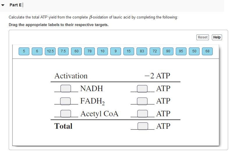 Solved Part E! ? Calculate the total ATP yield from the | Chegg.com