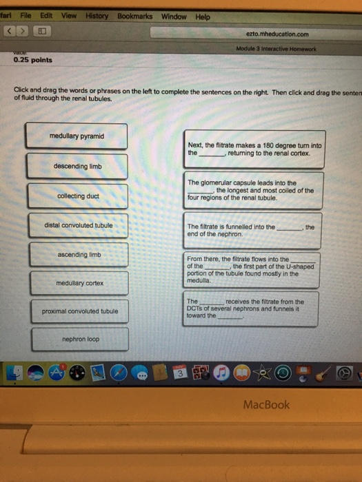 Solved Click and drag the words or phrases on the left to | Chegg.com