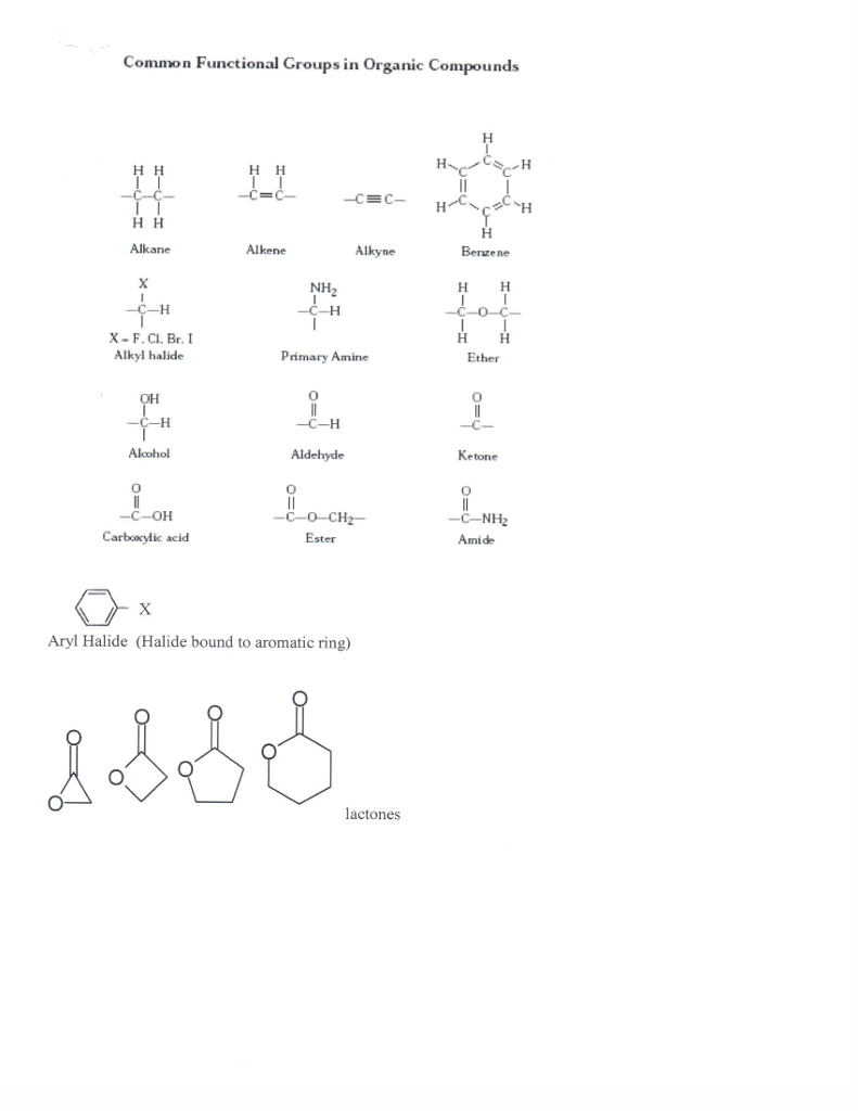 Solved I need help with identifying the functional groups in | Chegg.com