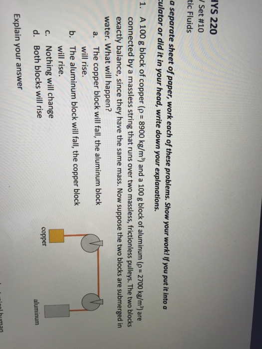 Solved A 100 g block of copper (rho = 8900 kg/m^3) and a 100 | Chegg.com