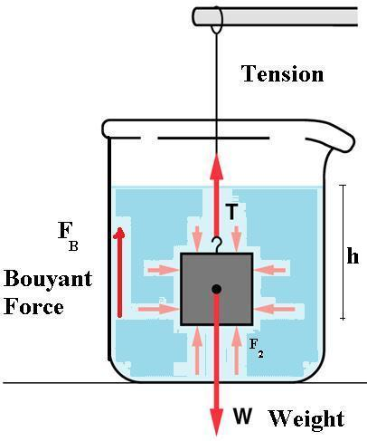 Solved Any object, wholly or partially immersed in a fluid, | Chegg.com