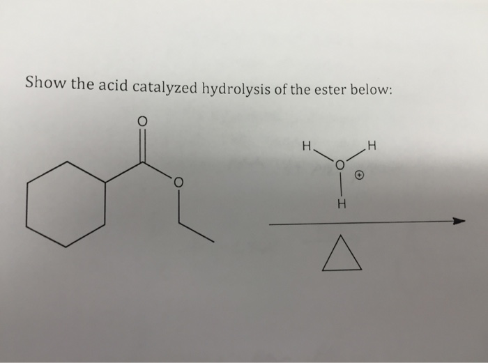 Solved Show the acid catalyzed hydrolysis of the ester | Chegg.com