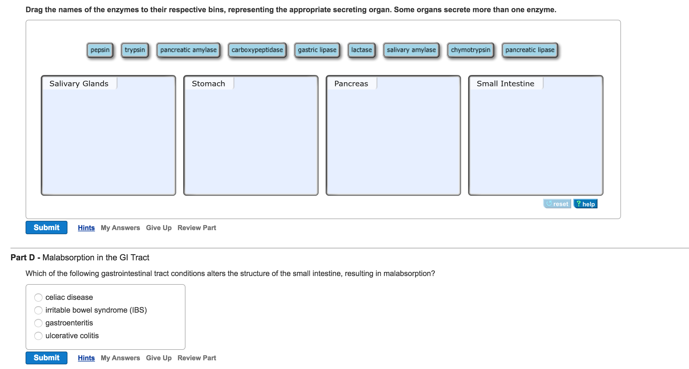 Solved Drag the names of the enzymes to their respective | Chegg.com