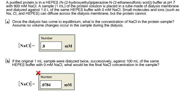 Solved A purified protein is in a HEPES | Chegg.com