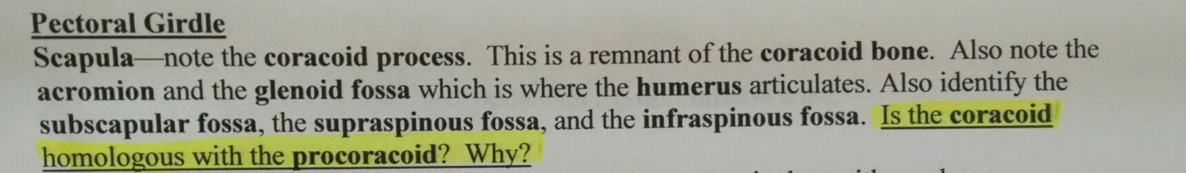 Solved Pectoral Girdle Scapula -note the coracoid process. | Chegg.com