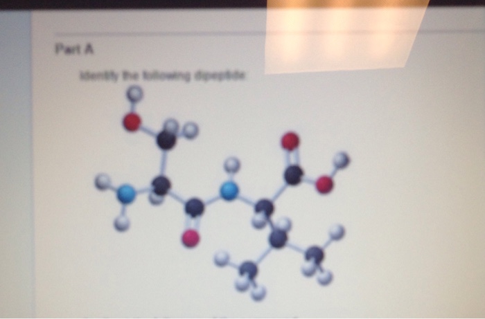 Solved Identify the following dipeptide | Chegg.com