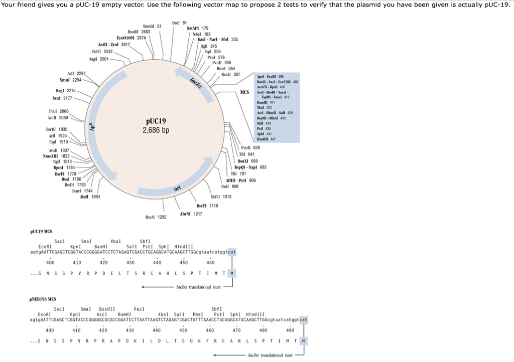 Solved Biology Question. Use the following vector map to | Chegg.com