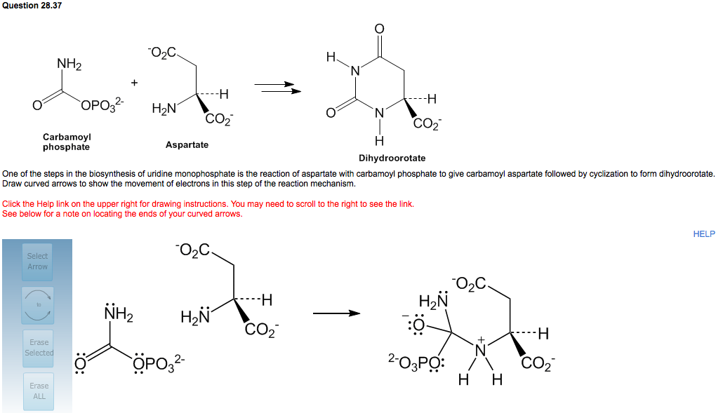 One of the steps in the biosynthesis of uridine | Chegg.com