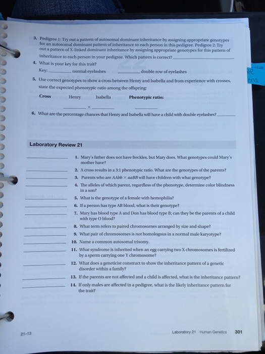 Solved Autosomal Dominant and Recessive Traits Figure 21.2 | Chegg.com