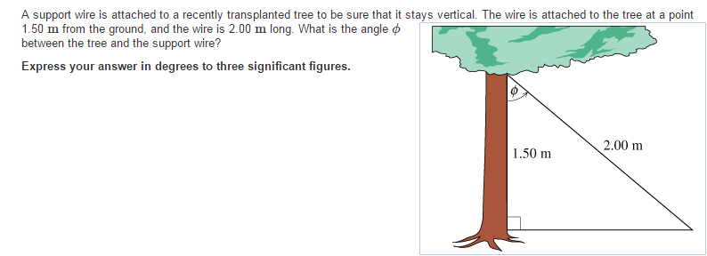 Solved A support wire is attached to a recently transplanted | Chegg.com