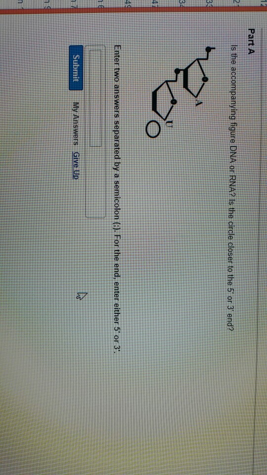 Solved Part A Is the accompanying figure DNA or RNA? is the | Chegg.com