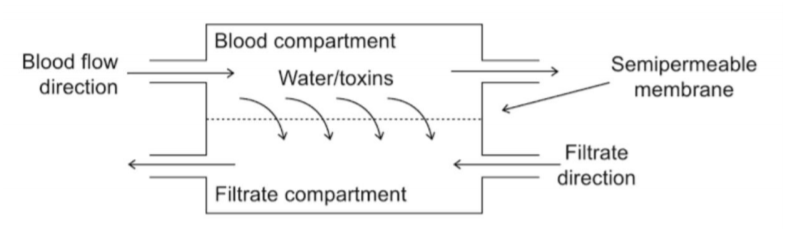 Blood compartment Blood flow direction Semipermeable | Chegg.com