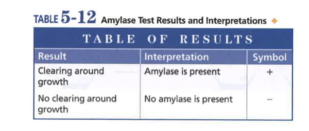 Starch Hydrolysis OBSERVATIONS AND INTERPRETATIONS | Chegg.com