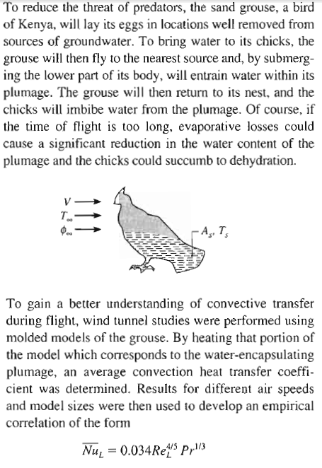 Solved To reduce the threat of predators, the sand grouse, a | Chegg.com