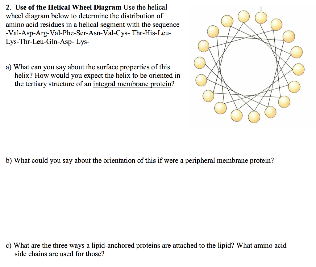 Solved Use of the Helical Wheel Diagram Use the helical | Chegg.com