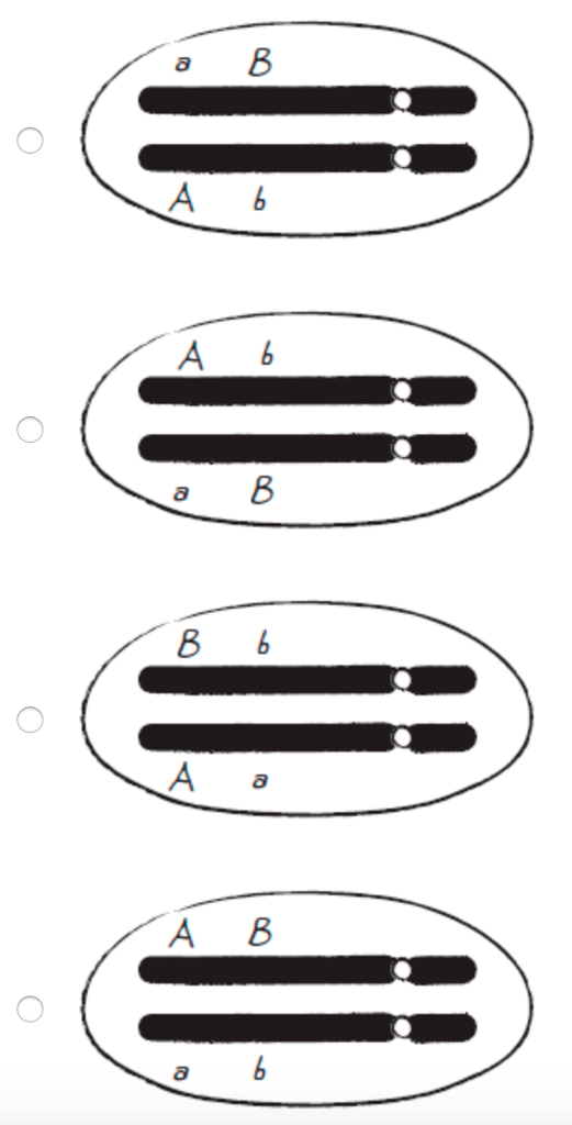 Part A Choose the diagram illustrating the alleles | Chegg.com