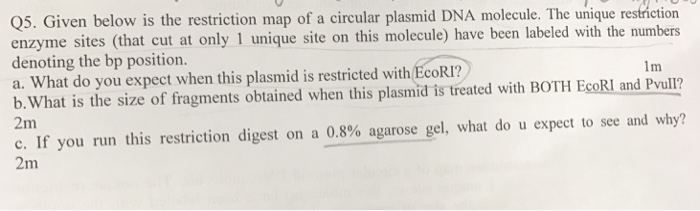 Solved os. Given below is the restriction map of a circular | Chegg.com
