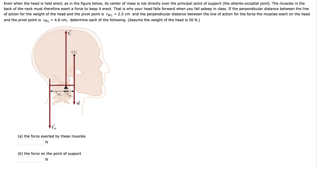 Solved Even when the head is held erect, as in the figure | Chegg.com