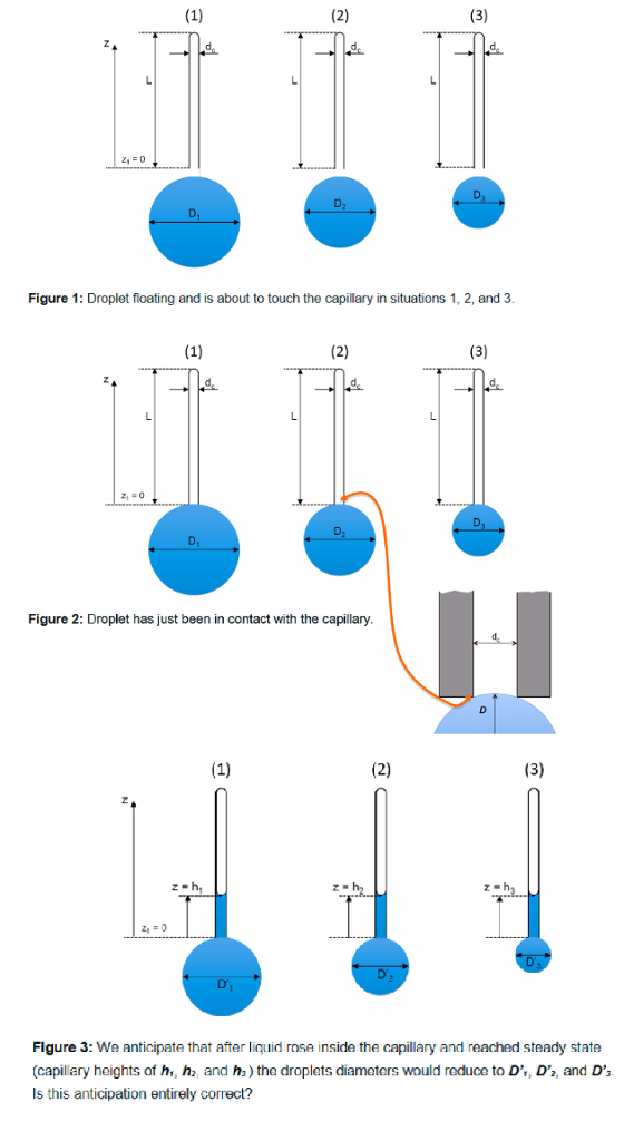 1. Consider an experiment on the International Space | Chegg.com
