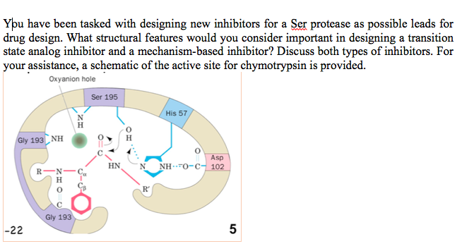 Solved You have been tasked with designing new inhibitors | Chegg.com