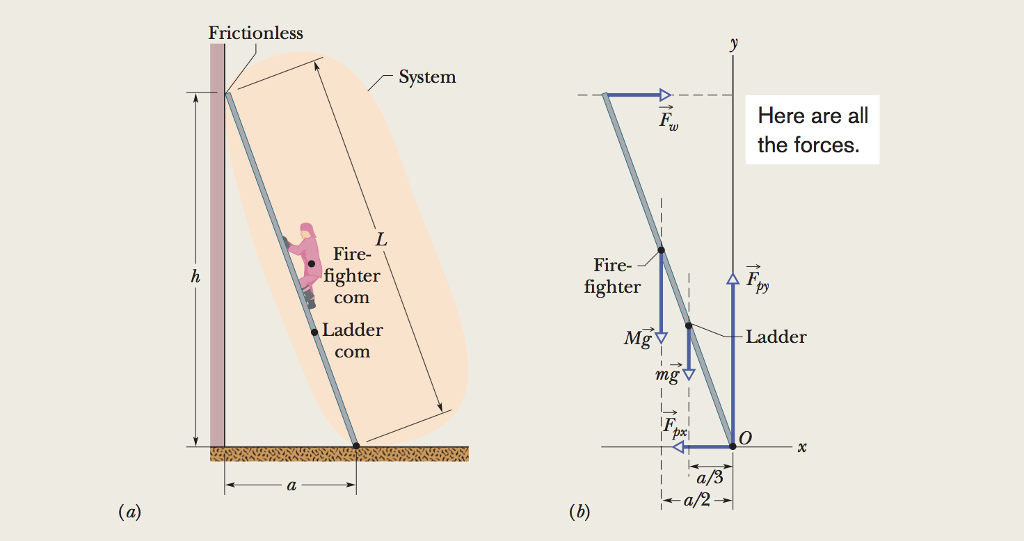 Solved In Fig. 12-7a, a ladder of length L12m and mass m45 | Chegg.com