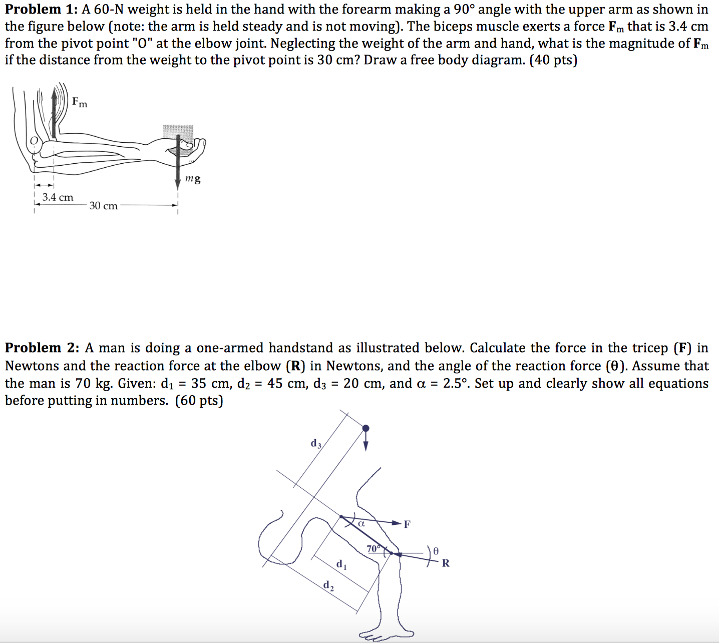 Solved A 60-N weight is held in the hand with the forearm | Chegg.com