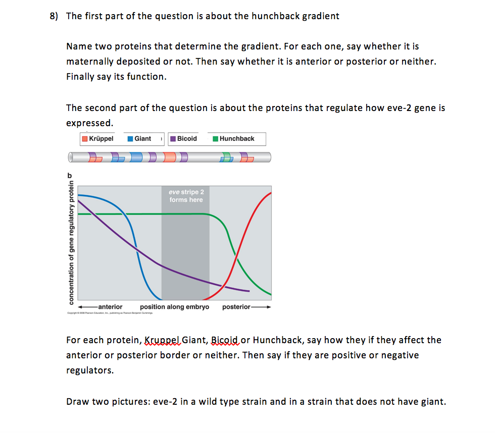 Solved The first part of the question is about the hunchback | Chegg.com