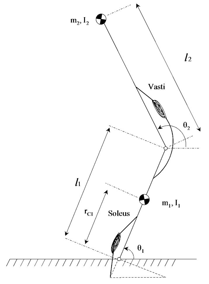 Solved Figure 2 shows an inverted double pendulum used to | Chegg.com