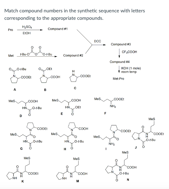 Solved Match compound numbers in the synthetic sequence with | Chegg.com