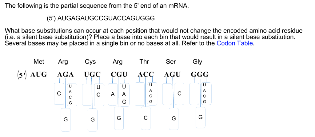 Solved The following is the partial sequence from the 5' end | Chegg.com